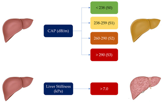 Liver Involvement in Patients with Systemic Sclerosis: Role of ...
