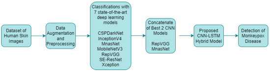 Diagnostics | Free Full-Text | Detection of Monkeypox Disease from Human Skin Images with a ...