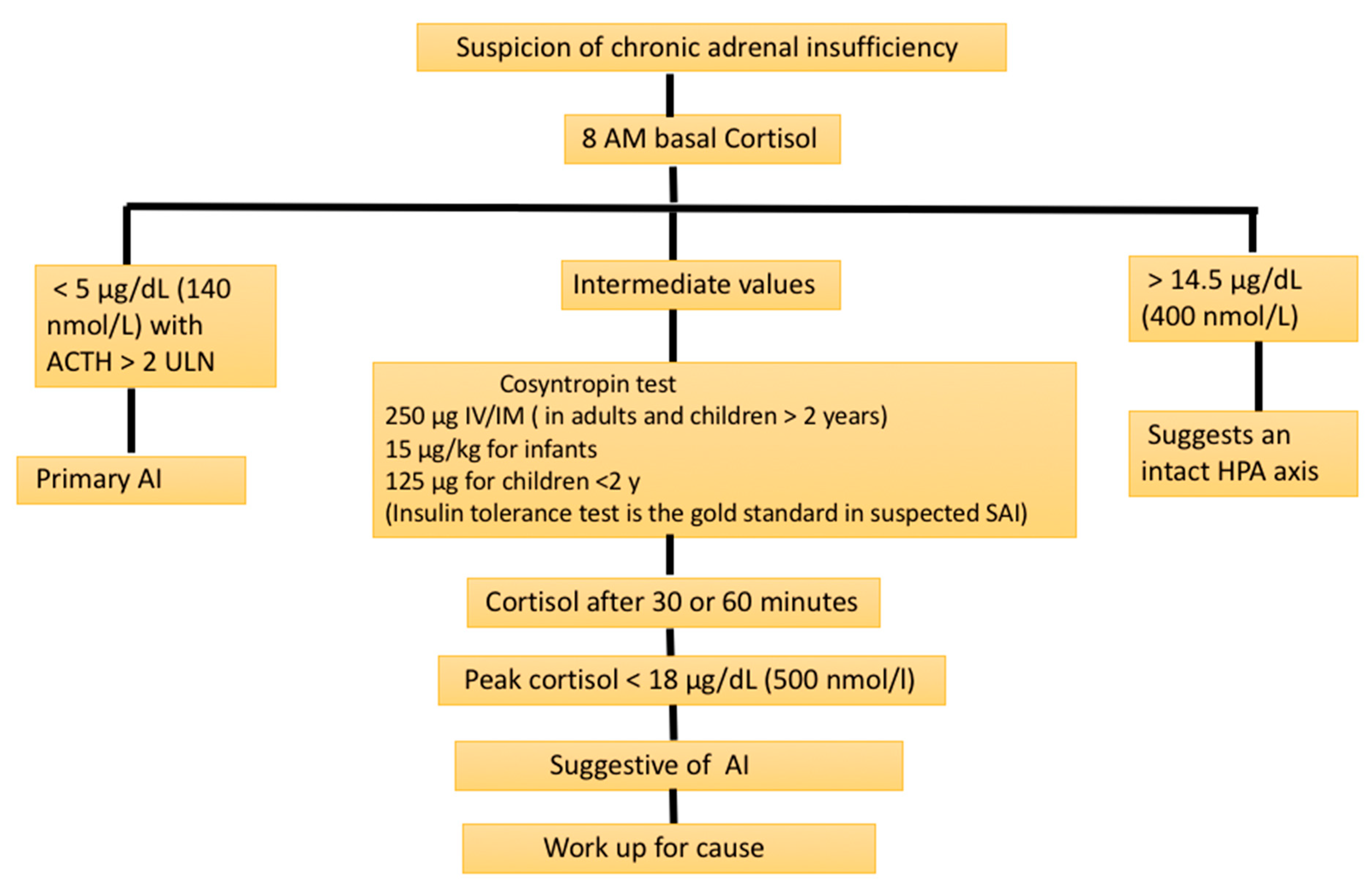 Adrenal Insufficiency Pathophysiology