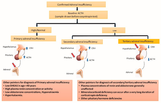Adrenal Failure: An Evidence-Based Diagnostic Approach