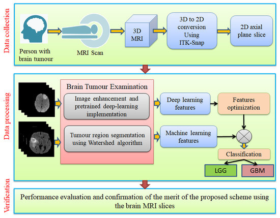 Brain Tumor Class Detection in Flair/T2 Modality MRI Slices Using Elephant-Herd Algorithm ...