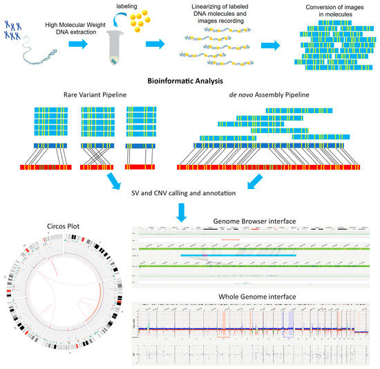 Diagnostics | Free Full-Text | Feasibility of Optical Genome Mapping in Cytogenetic Diagnostics ...
