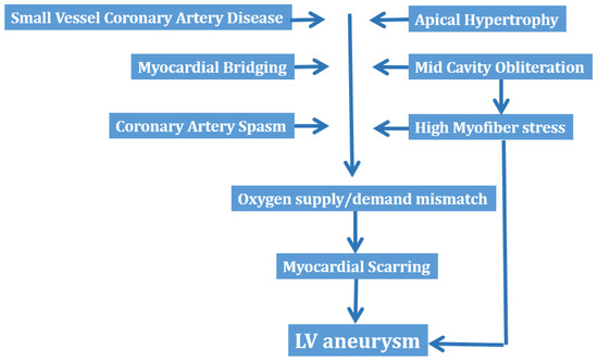 Diagnostics | Free Full-Text | Diagnosis and Clinical Implication of Left Ventricular Aneurysm ...