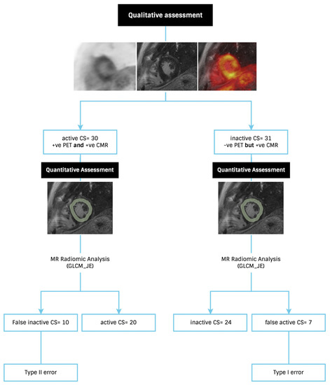 Exploring the Utility of Cardiovascular Magnetic Resonance Radiomic ...