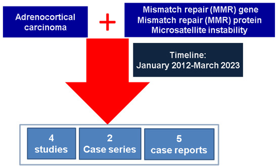 Pathogenic Insights into DNA Mismatch Repair (MMR) Genes–Proteins and ...