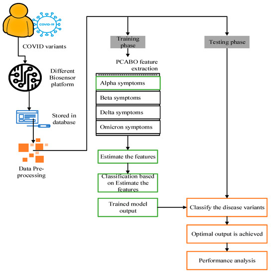 A Novel COVID-19 Diagnostic System Using Biosensor Incorporated ...