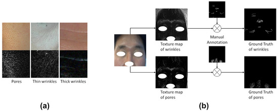 Deep-Learning-Based Morphological Feature Segmentation for Facial Skin ...
