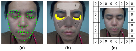 Deep-Learning-Based Morphological Feature Segmentation for Facial Skin Image Analysis