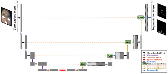 Deep-Learning-Based Morphological Feature Segmentation for Facial Skin ...