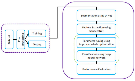 Diagnostics | Free Full-Text | Skin Cancer Detection Using Deep ...