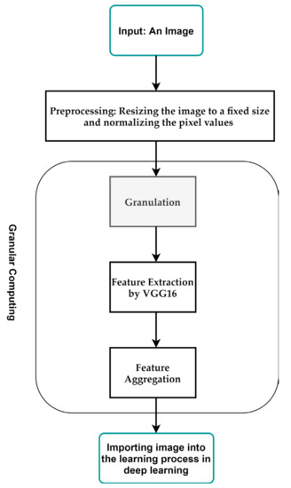 Diagnostics | Free Full-Text | A New Deep-Learning-Based Model for ...