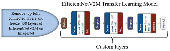 Ensemble Deep Learning Derived from Transfer Learning for ...