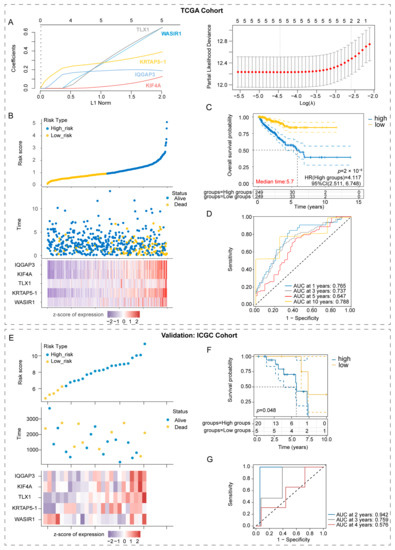 Crafting a Personalized Prognostic Model for Malignant Prostate Cancer ...