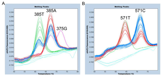Detection of c.375A>G, c.385A>T, c.571C>T, and sedel2 of FUT2 via Real ...