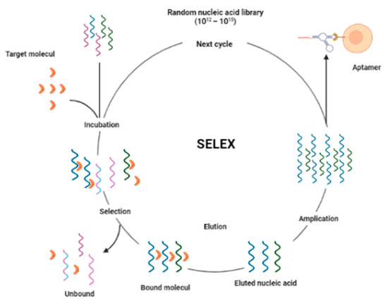 Detection of Biomarker Using Aptasensors to Determine the Type of Diabetes