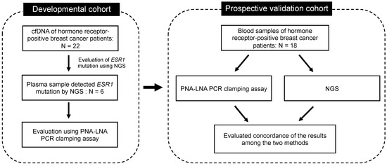 Development of a Detection System for ESR1 Mutations in Circulating Tumour DNA Using PNA-LNA ...