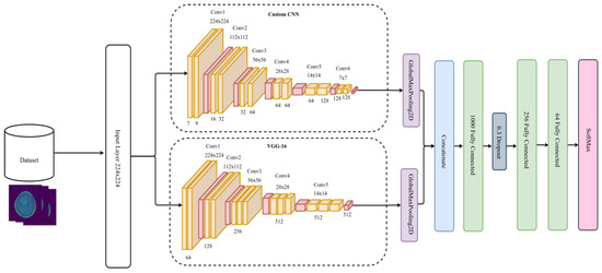 Dual Deep CNN for Tumor Brain Classification