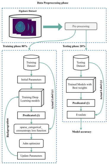 Dual Deep CNN for Tumor Brain Classification