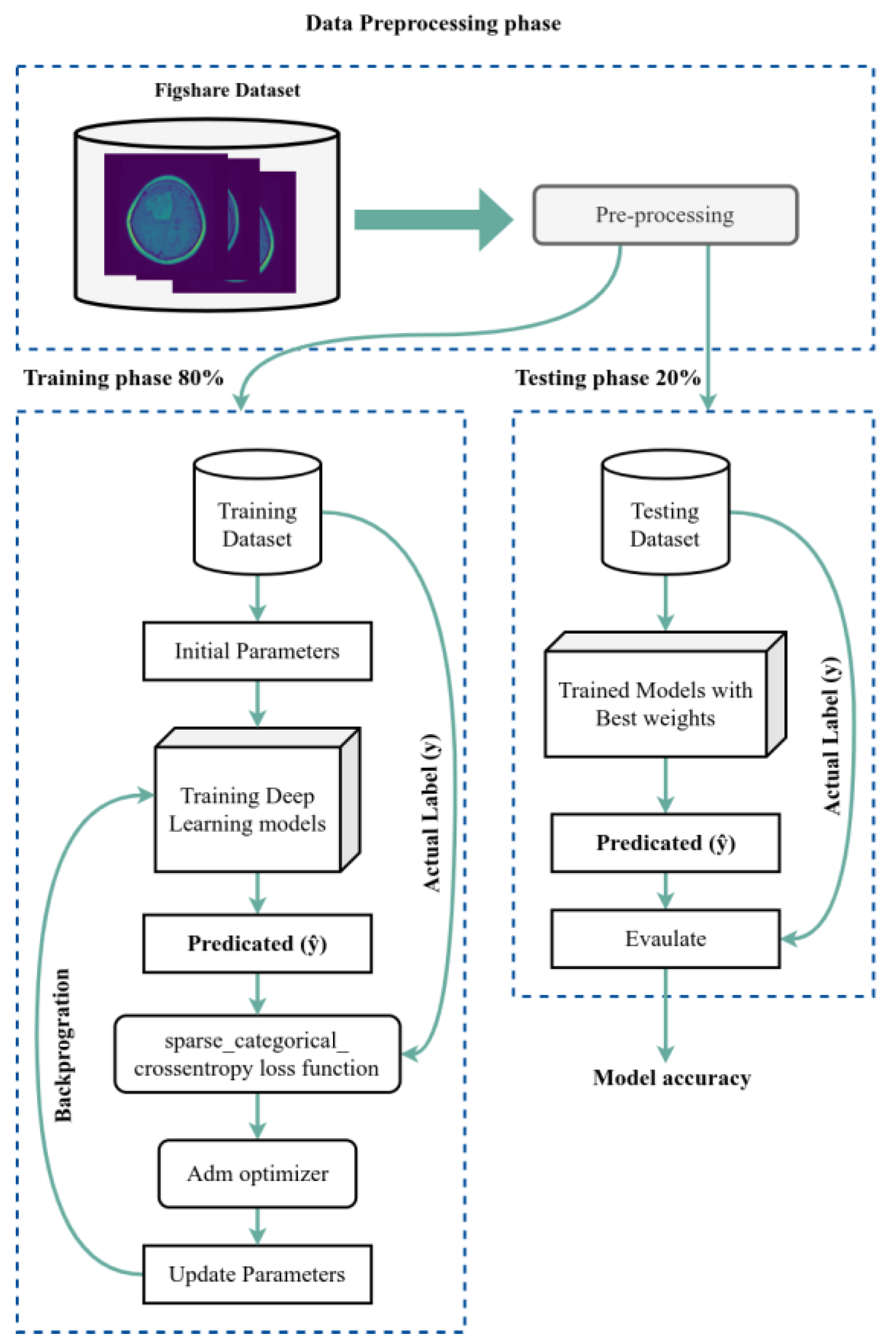 Dual Deep CNN for Tumor Brain Classification