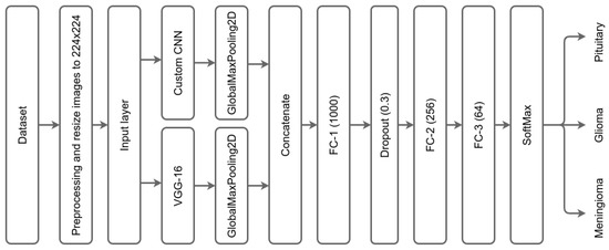 Dual Deep CNN for Tumor Brain Classification
