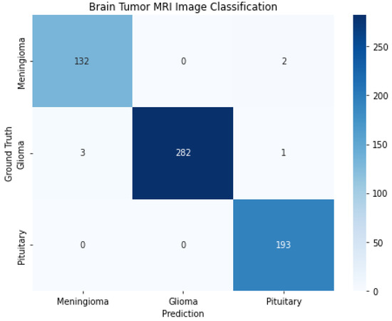 Dual Deep CNN for Tumor Brain Classification