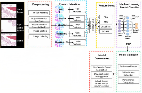 A Novel Hybrid Approach for Classifying Osteosarcoma Using Deep Feature ...