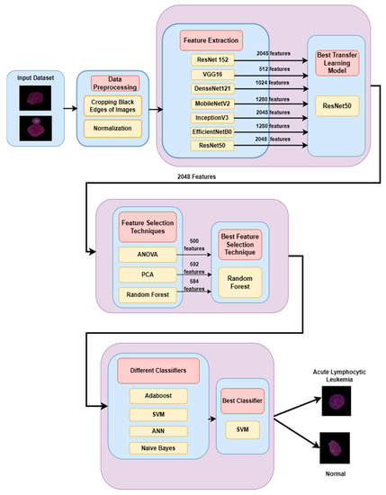 ResRandSVM: Hybrid Approach for Acute Lymphocytic Leukemia Classification in Blood Smear Images