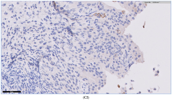 Diagnostics | Free Full-Text | Department Wide Validation in Digital ...