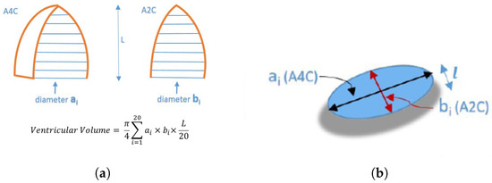 Ejection Fraction Estimation from Echocardiograms Using Optimal Left ...