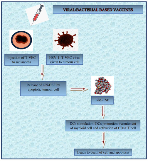 Diagnostics | Free Full-Text | Vaccines in Breast Cancer: Challenges ...