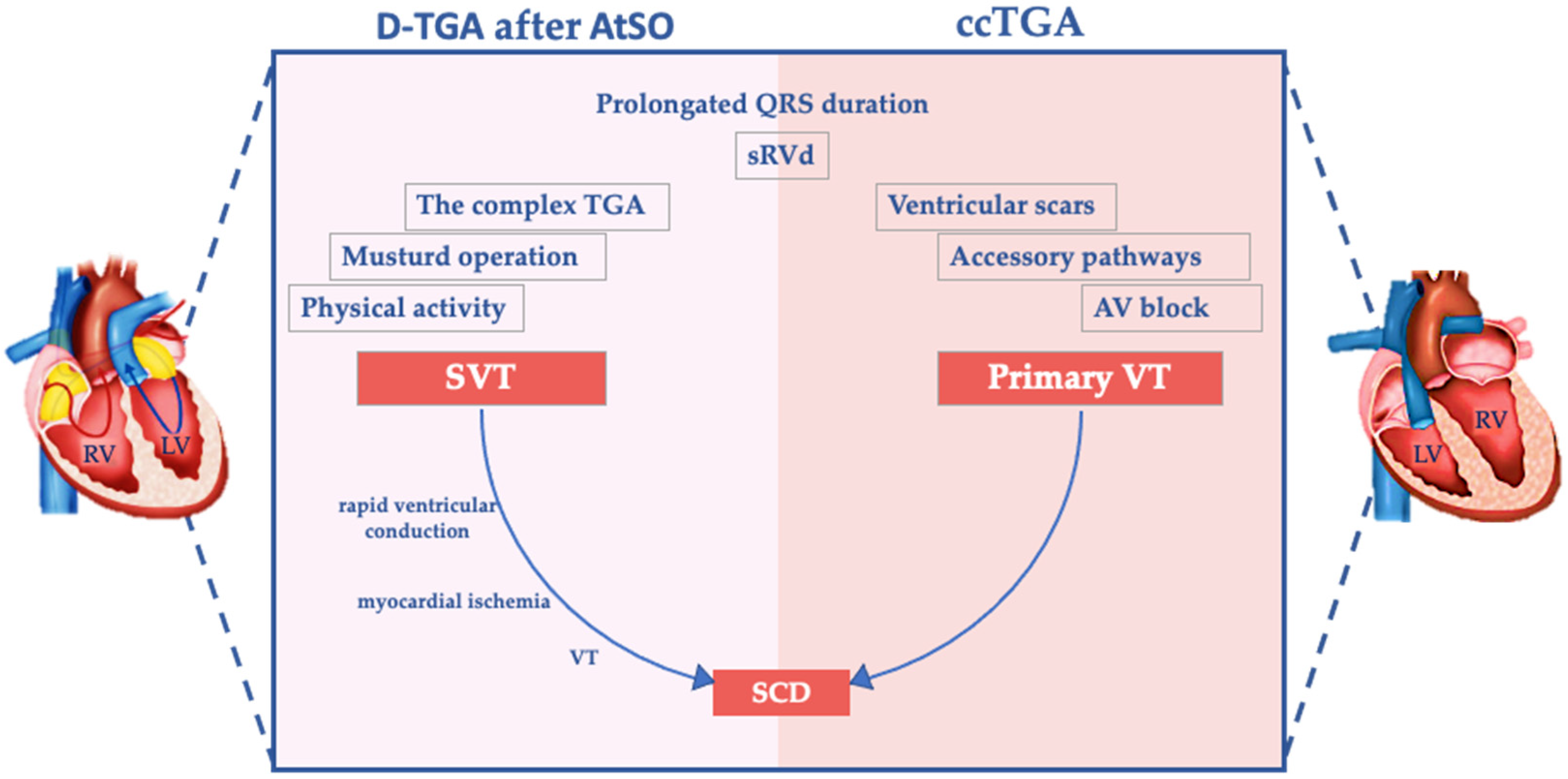 Overview of Long-Term Outcome in Adults with Systemic Right Ventricle and Transposition of the ...
