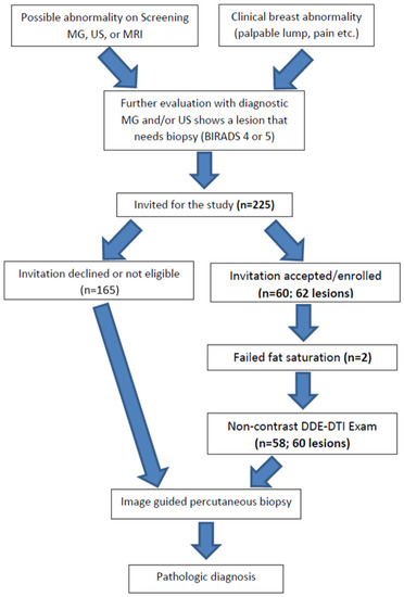 Clinical Breast Exam Diagram