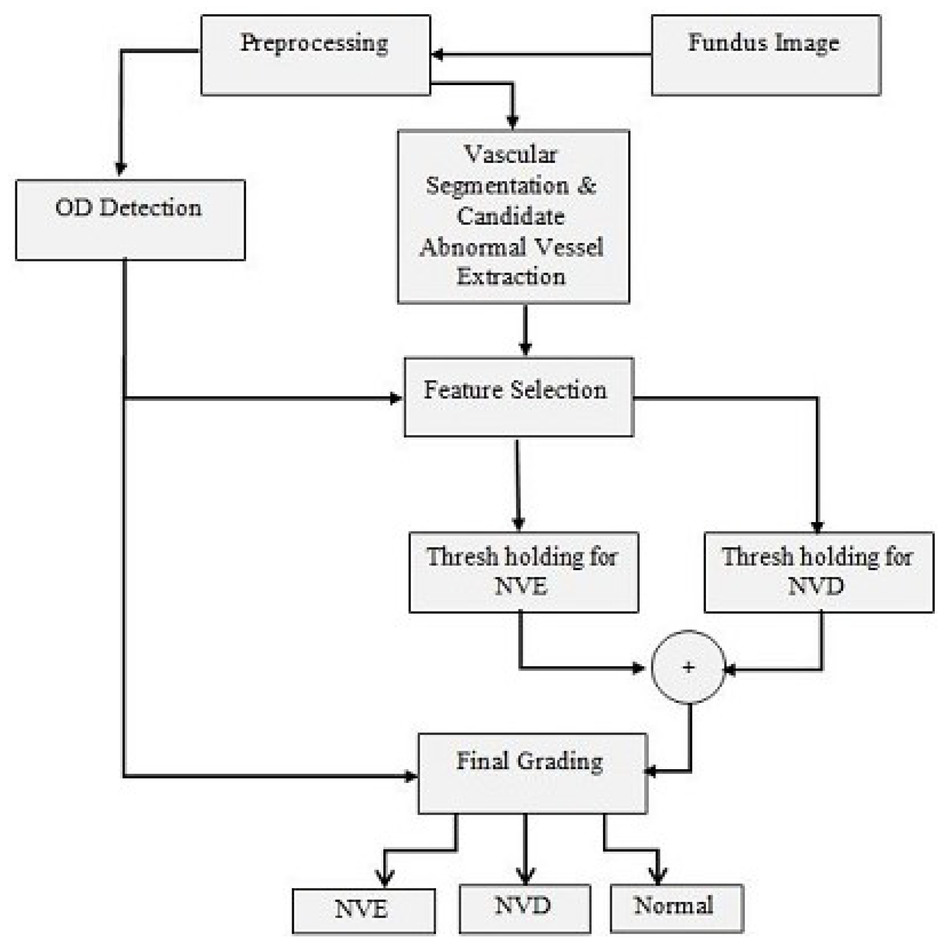 Proliferative Diabetic Retinopathy Diagnosis Using Varying-Scales ...