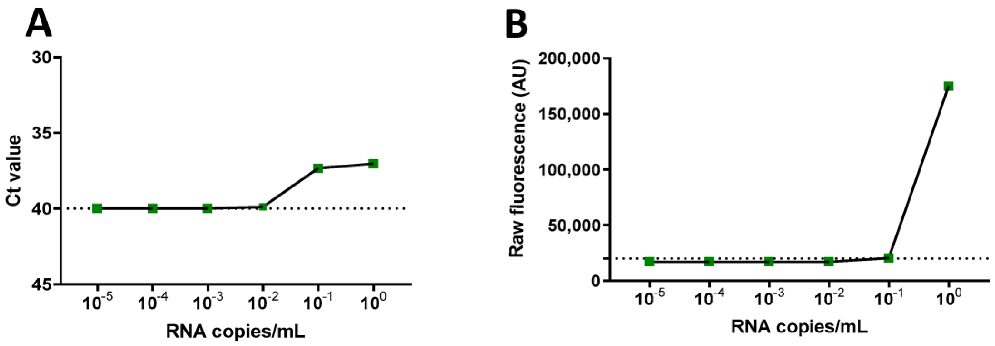 Rapid Detection of SARS-CoV-2 Based on the LAMP Assay Associated with ...