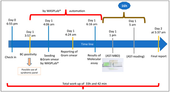 Diagnostics | Free Full-Text | Laboratory Automation in Microbiology ...