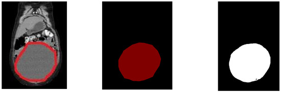 Performance Analysis of Segmentation and Classification of CT-Scanned ...