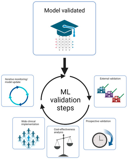 Diagnostics | Free Full-Text | Artificial Intelligence in Renal Cell ...