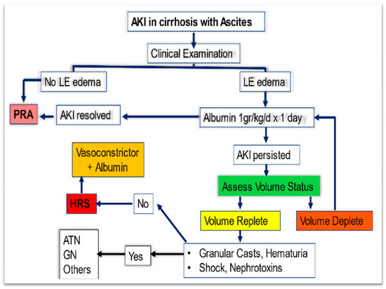 Diagnostics | Free Full-Text | Acute Kidney Injury in Liver Cirrhosis