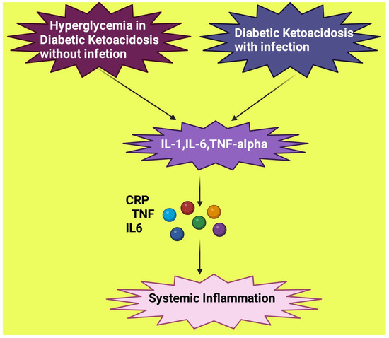 Diagnostics | Free Full-Text | Detecting Diabetic Ketoacidosis with ...