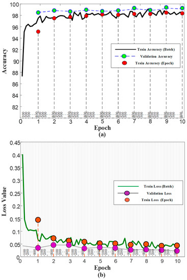 An Explainable Vision Transformer Model Based White Blood Cells ...