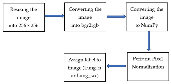 An Efficient Combination of Convolutional Neural Network and LightGBM ...