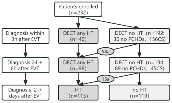 Hemorrhagic Transformation Assessment Based on Dual Energy CT of ...