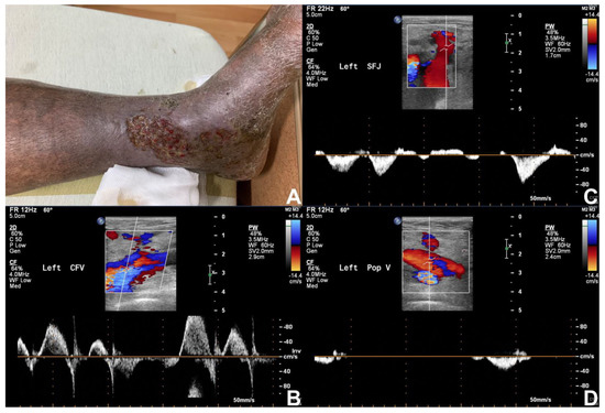 An Overview of Clinical Examinations in the Evaluation and Assessment ...