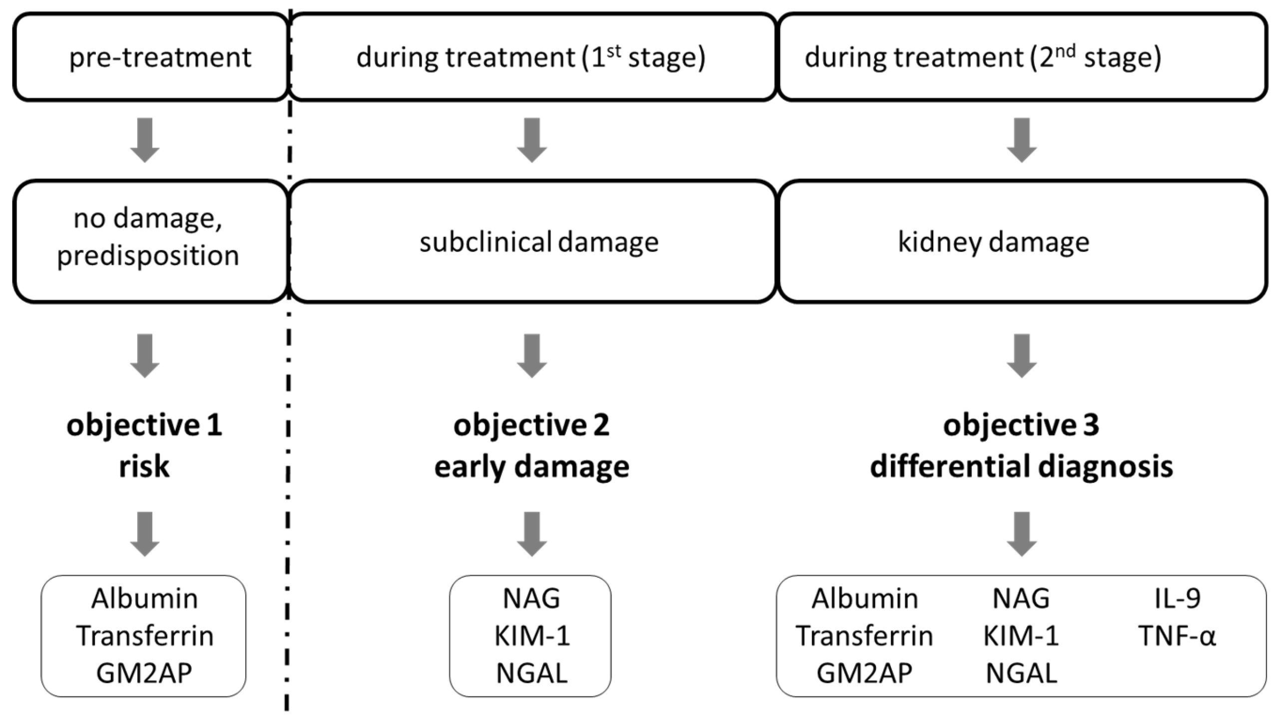 New Challenges in the Diagnosis of Kidney Damage Due to Immune ...