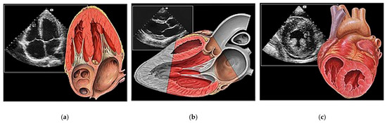 Establishing a Novel Diagnostic Framework Using Handheld Point-of-Care ...
