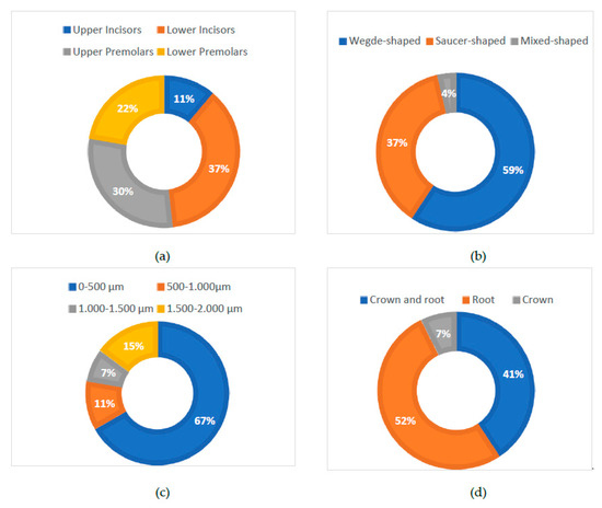 Stereomicroscopic Aspects of Non-Carious Cervical Lesions