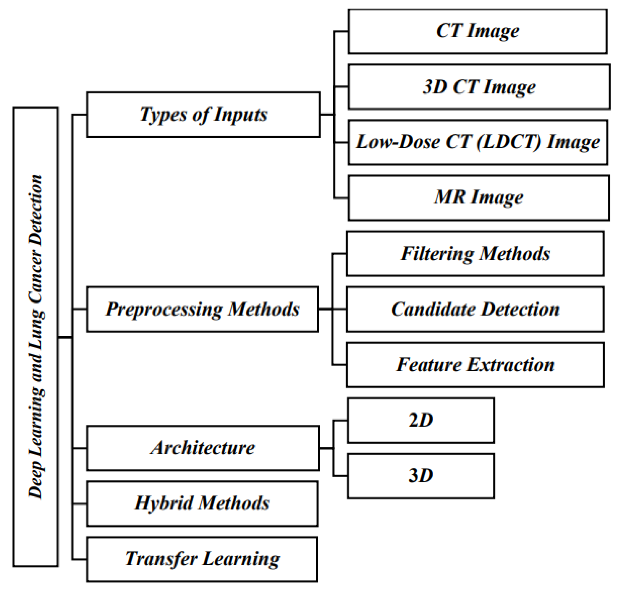 A Review of Deep Learning Techniques for Lung Cancer Screening and ...