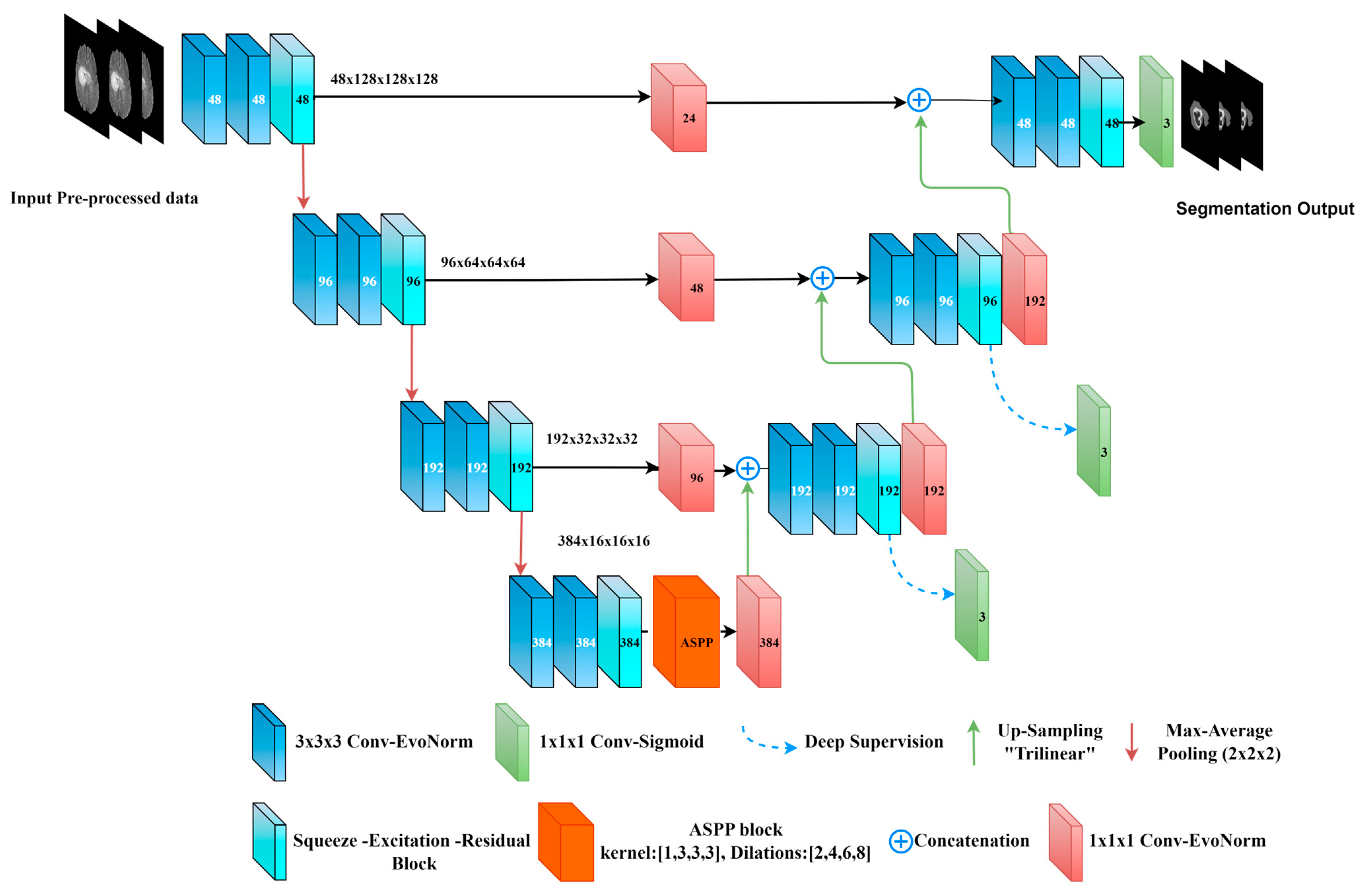 Bridged-U-Net-ASPP-EVO and Deep Learning Optimization for Brain Tumor Segmentation