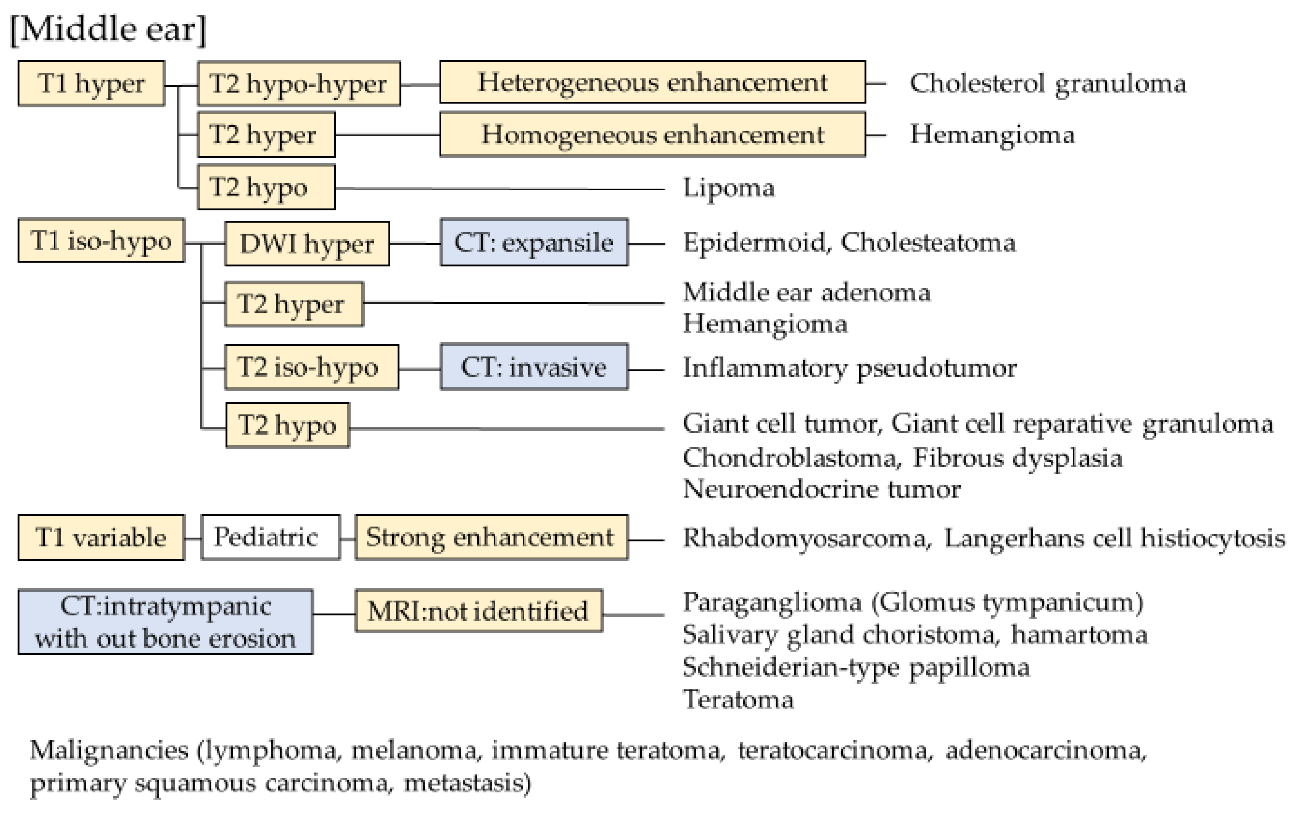 Imaging of Temporal Bone Mass Lesions: A Pictorial Review