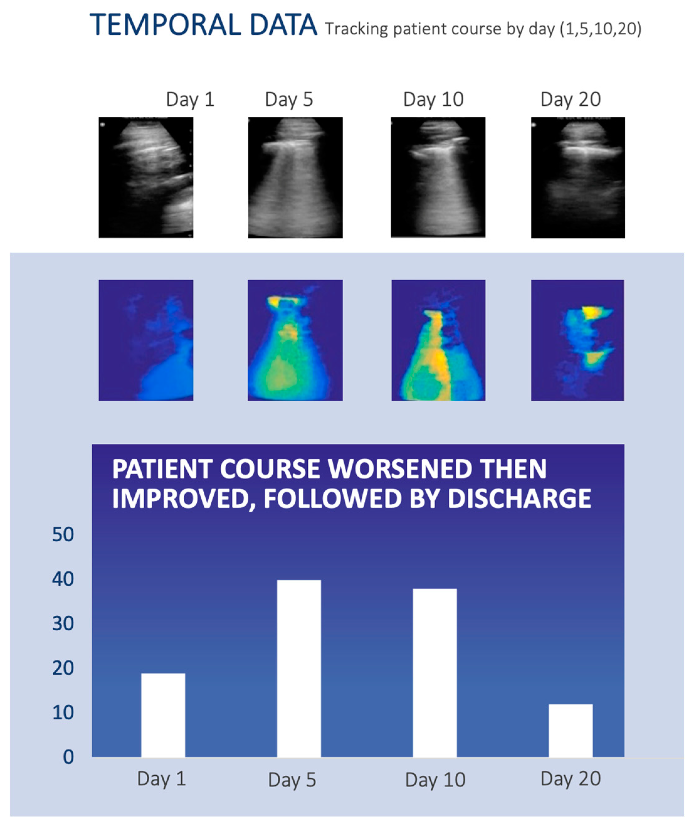 Automated Lung Ultrasound Pulmonary Disease Quantification Using an Unsupervised Machine ...